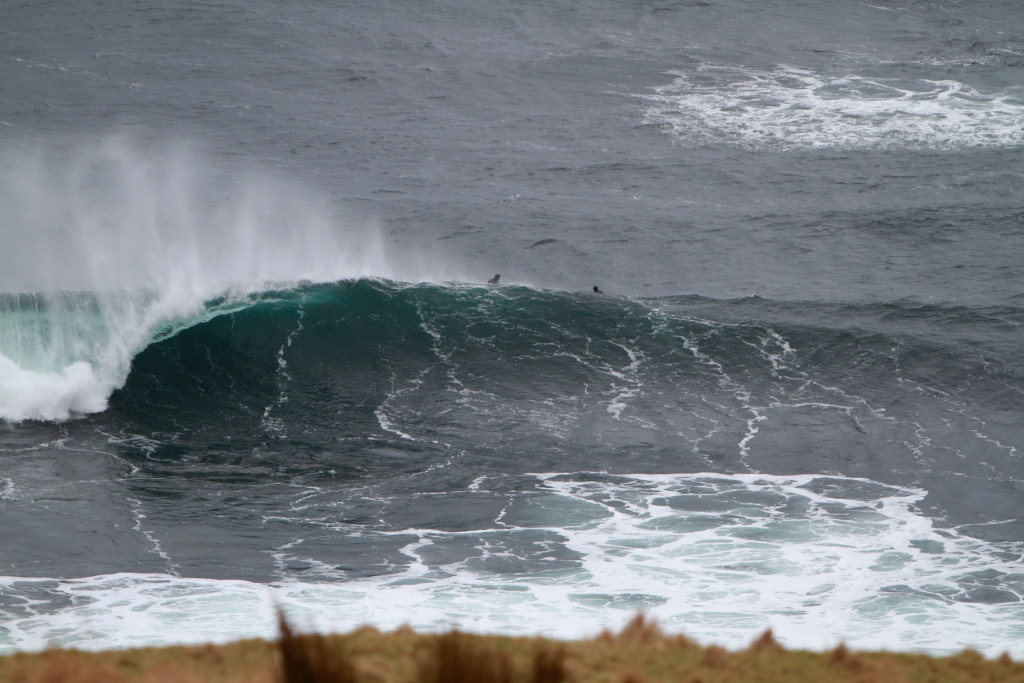 Hoddevik Looks good!